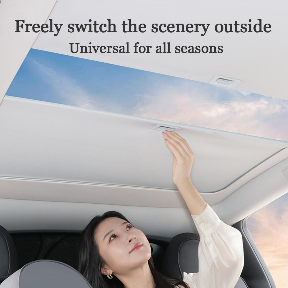 Model 3 sun shade store